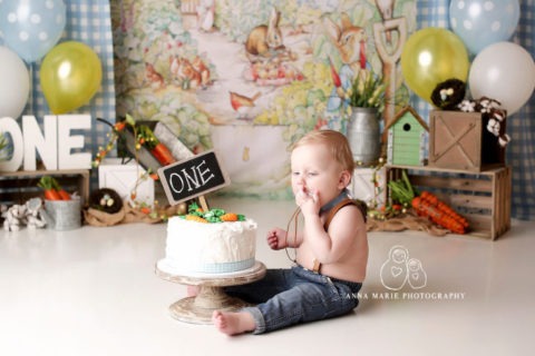 Olathe Cake Smash Photographer | Peter Rabbit Smash and Splash | Anna ...